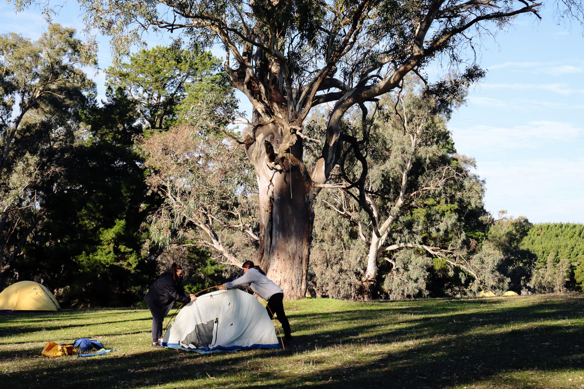 Camps & Excursions | Xavier College